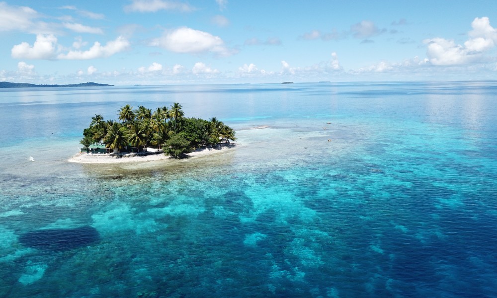 Banda Sea Liveaboard: 2026 Hammerhead Diving Guide